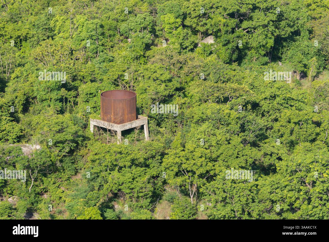 Big high rusty water tank abandoned in green forest Stock Photo - Alamy
