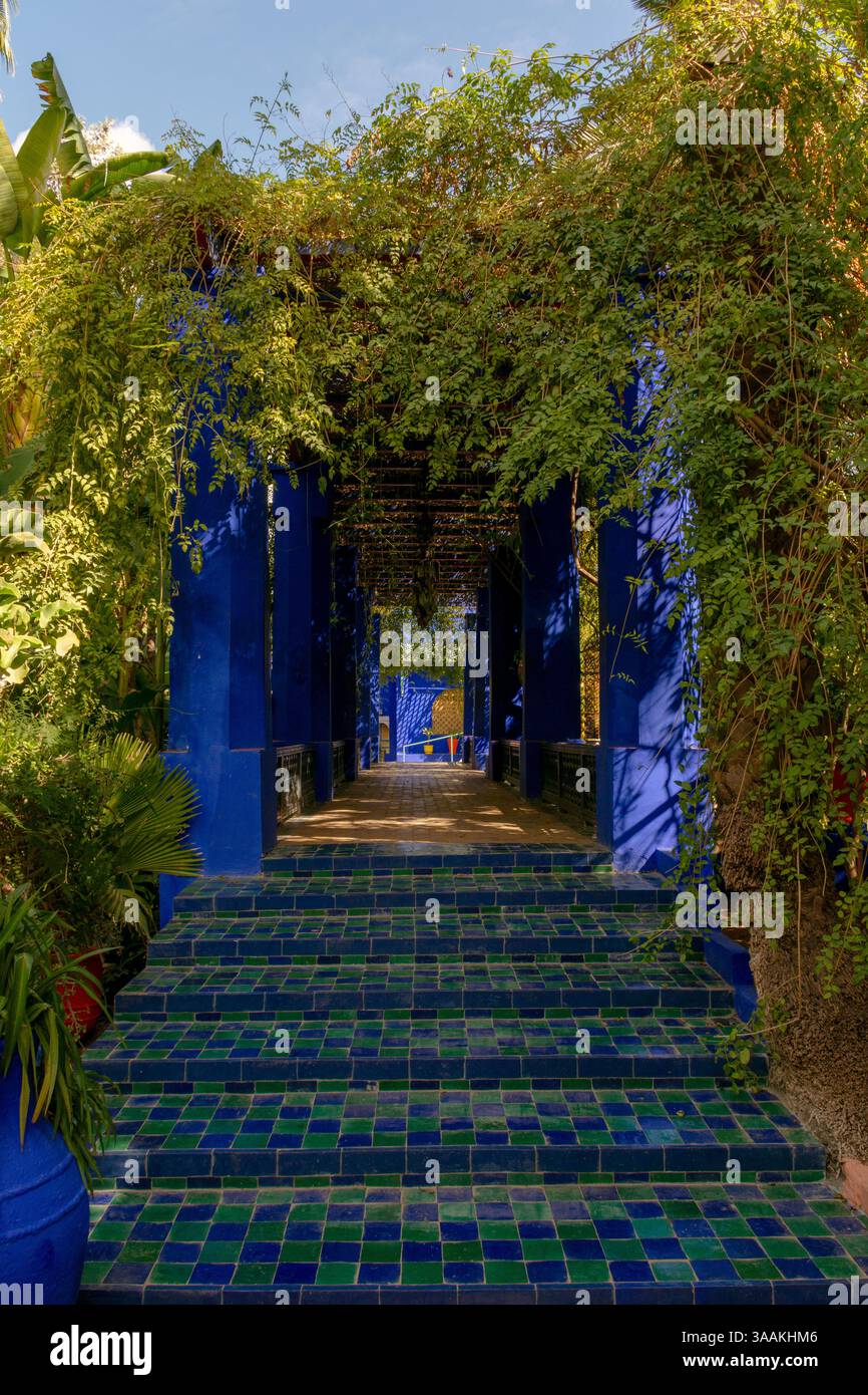 Marrakech, Morocco - 16 February 2025 Blue bridge covered by plants ...