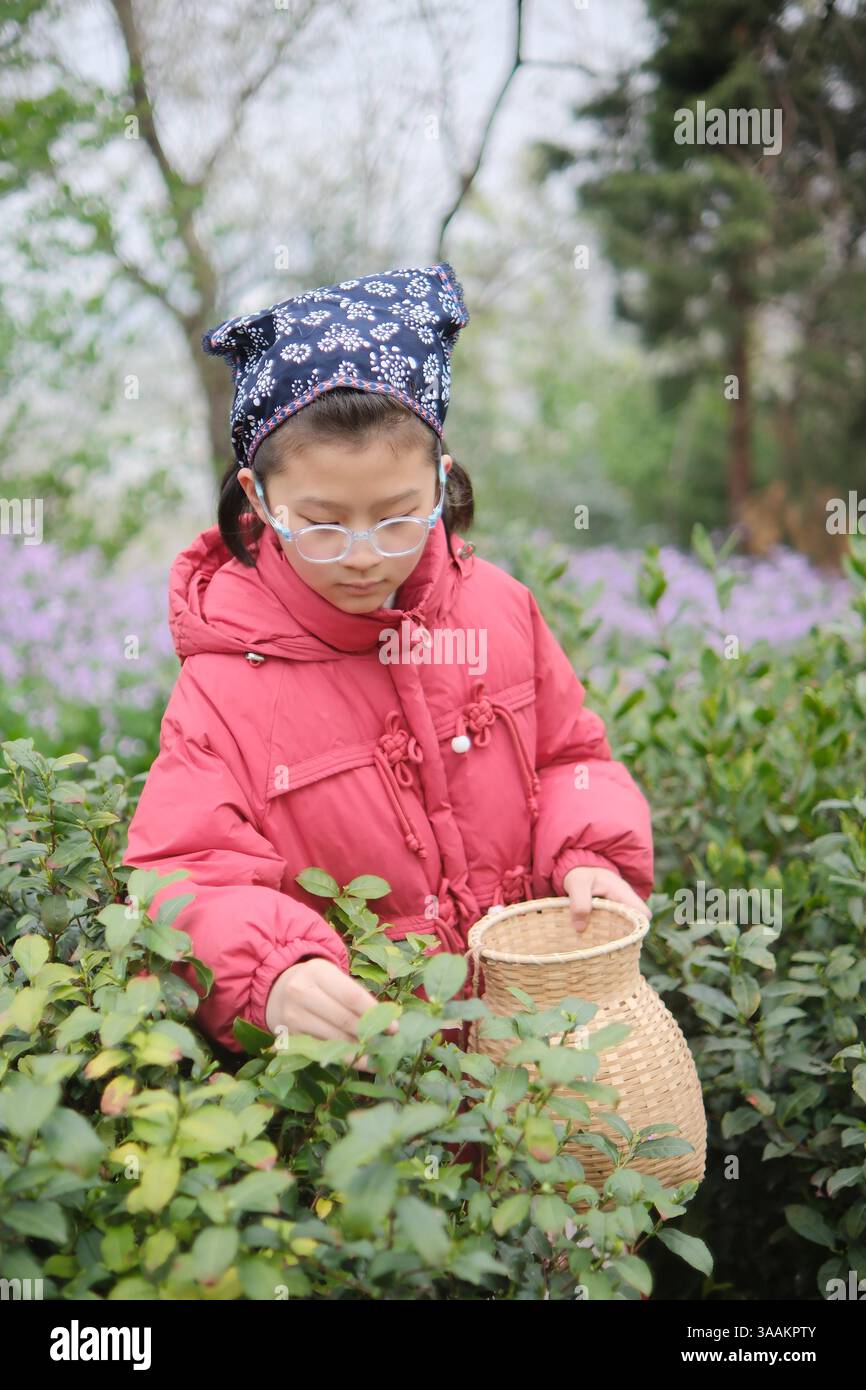 People experience picking tea leaves at a tea garden in Nantong City ...