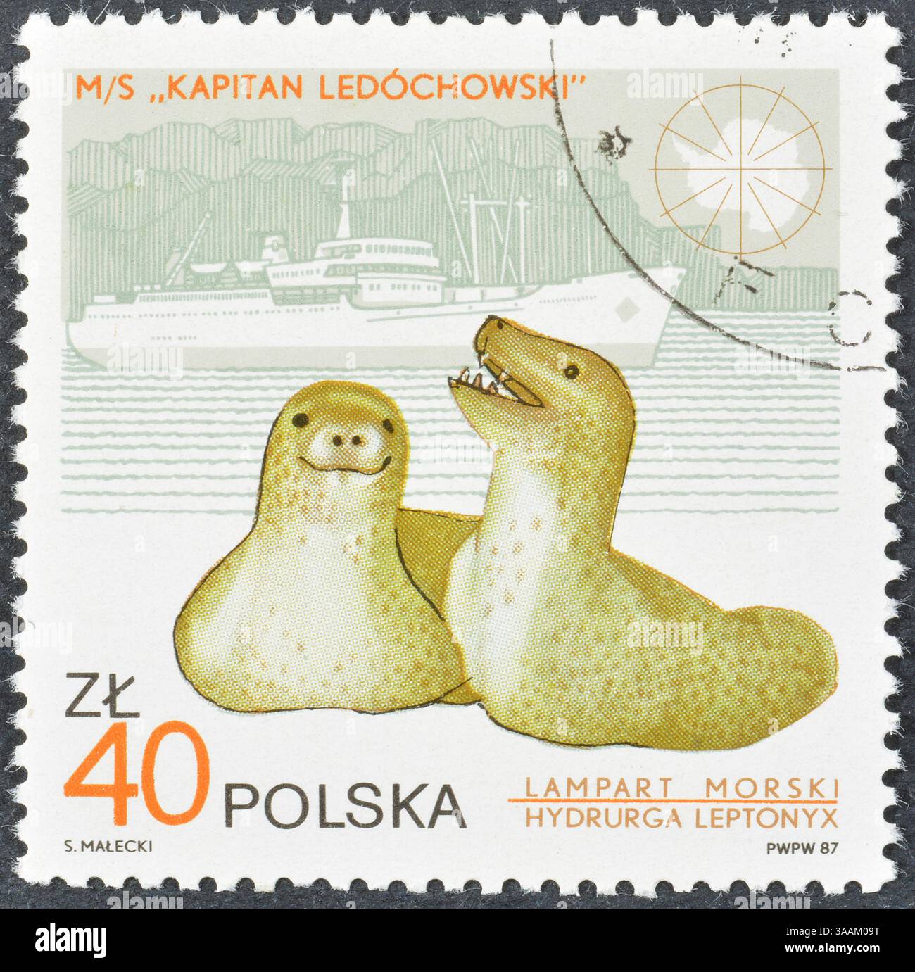 postage stamp printed by Poland, that shows Leopard Seal (Hydrurga ...
