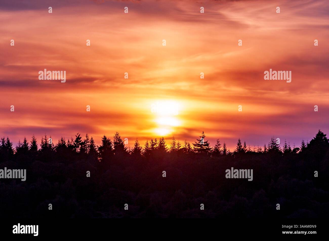 Deep red and orange hi-res stock photography and images - Alamy