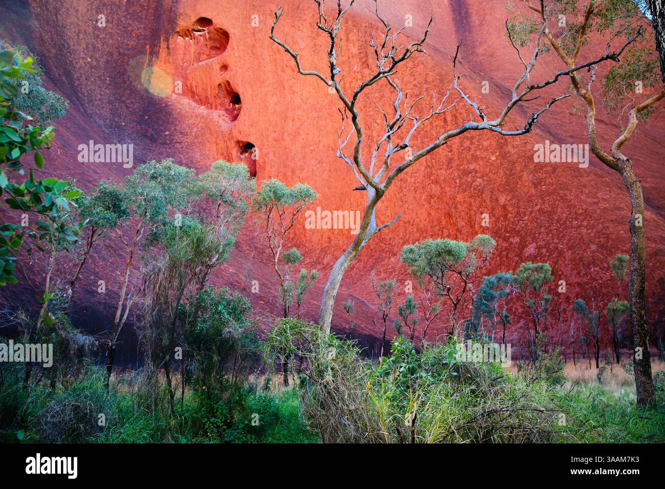 Uluru, Northern Territory, Australia Stock Photo - Alamy