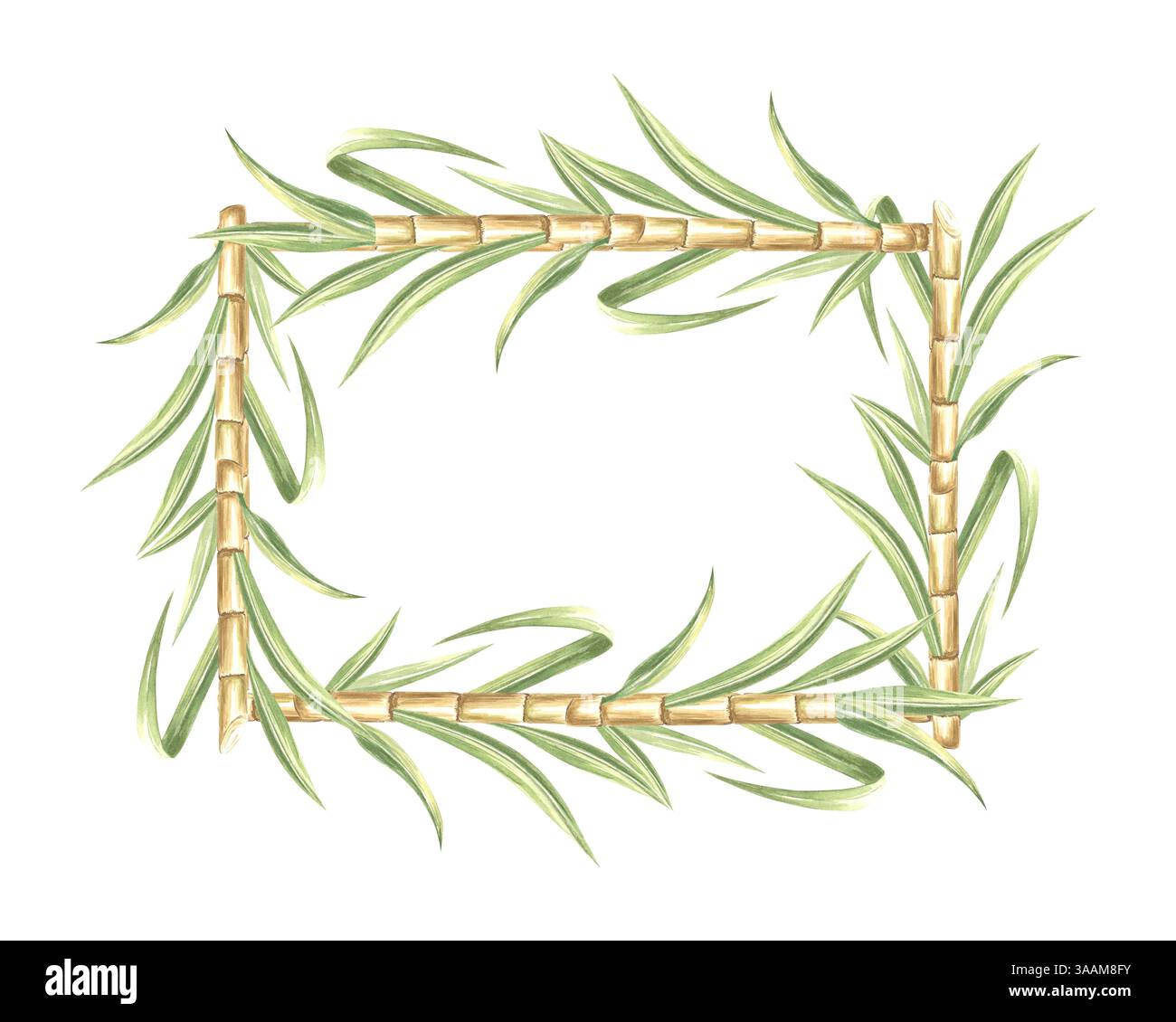 Sugar cane stalks with leaves watercolor horizontal frame isolated ...