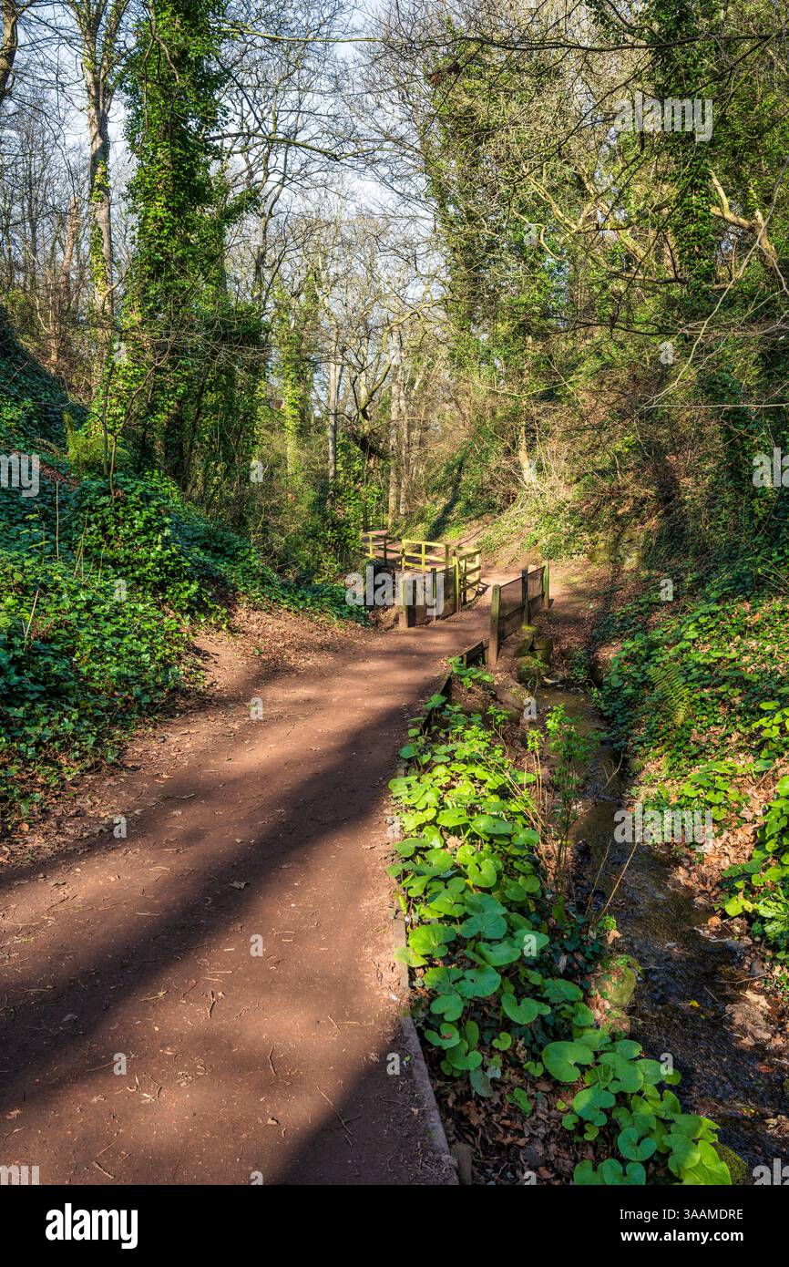 The Glen woodland footpath in North Berwick, East Lothian, Scotland, UK ...