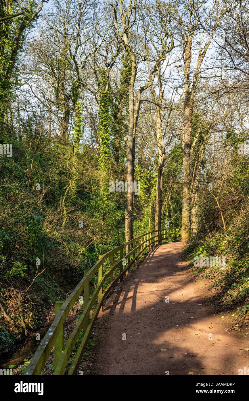 The Glen woodland footpath in North Berwick, East Lothian, Scotland, UK ...