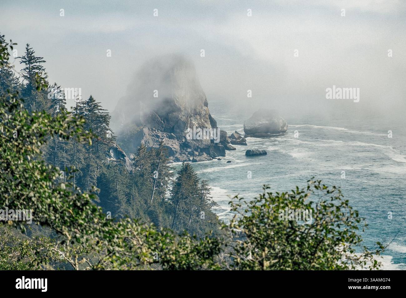 Mist surrounding big gray rock formations on the coast of California ...