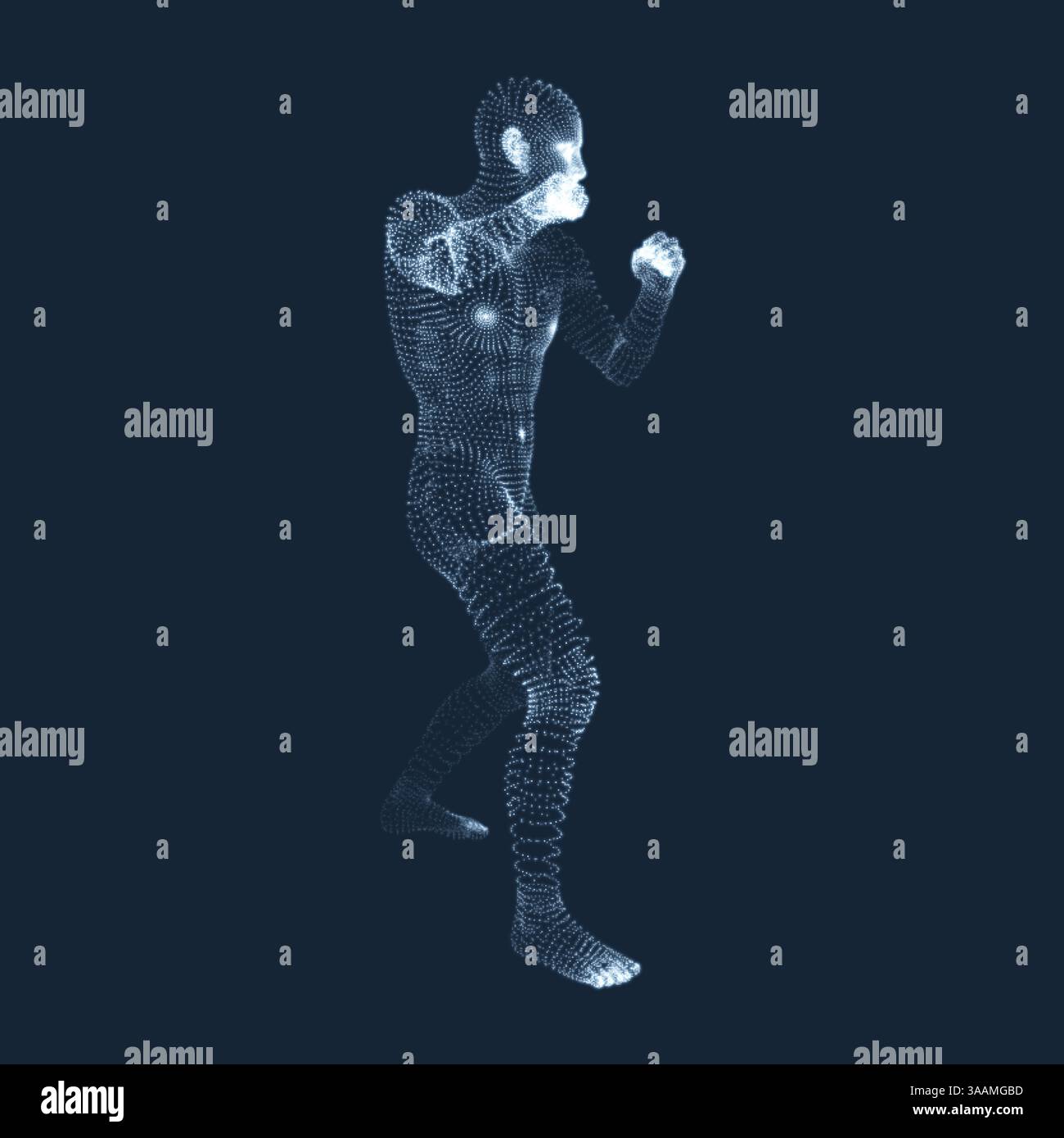 Boxer. Fighting Man. 3D Model of Man. Human Body Model. Body Scanning ...