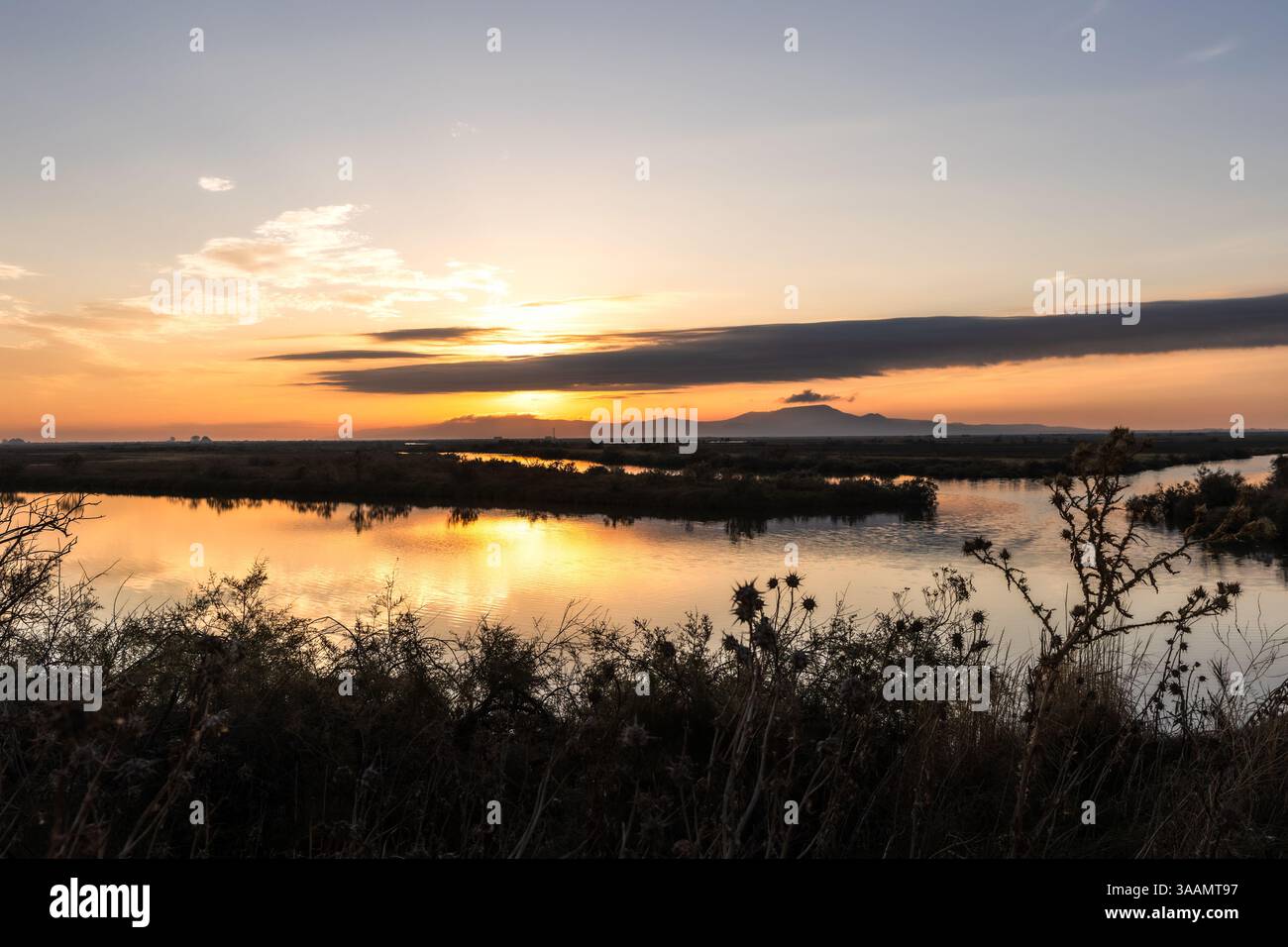 Beautiful sunset or sunrise on the wetland National Park Delta Evros in ...