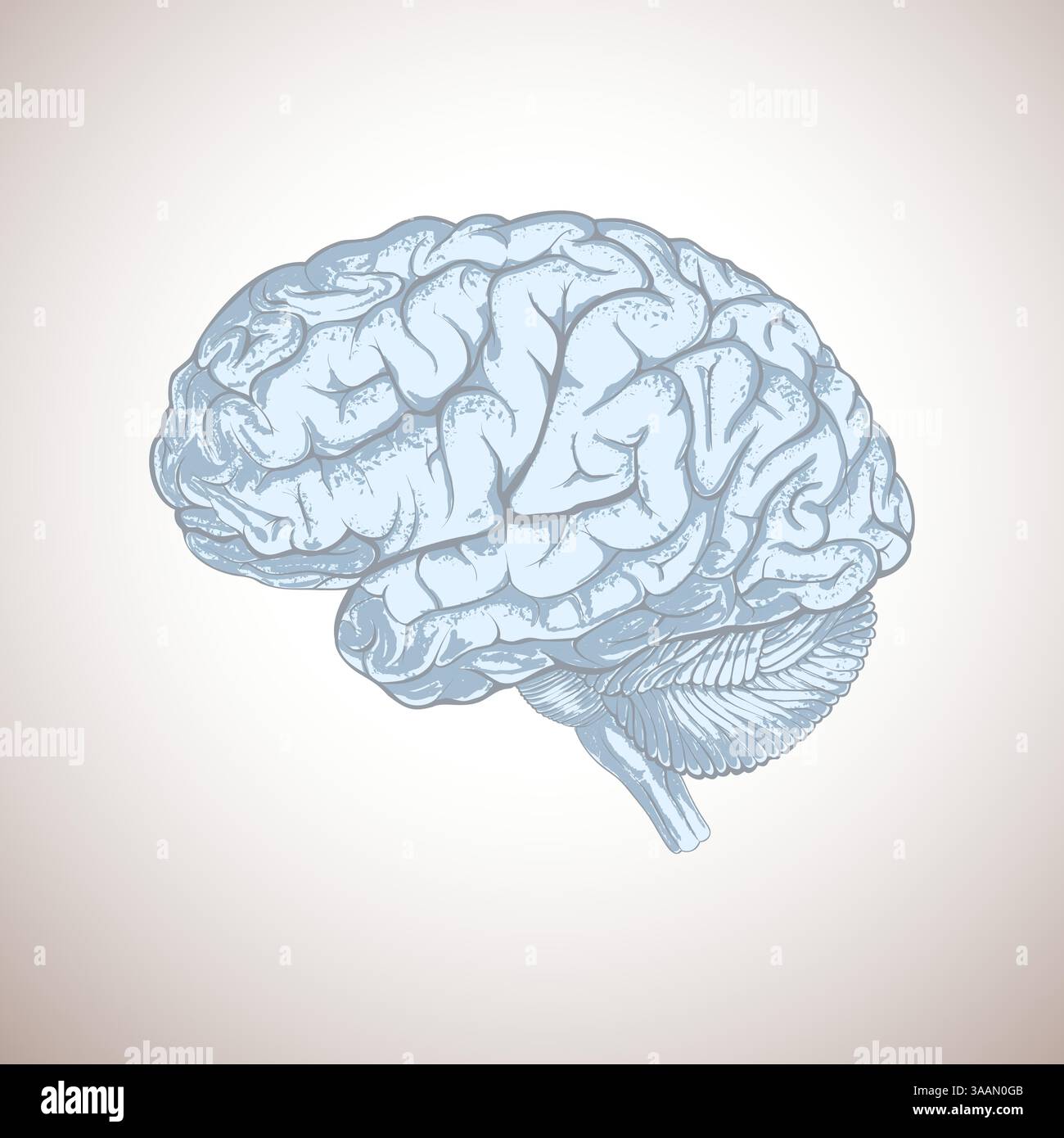 Sketchy style human brain abstract vector illustration Stock Vector ...