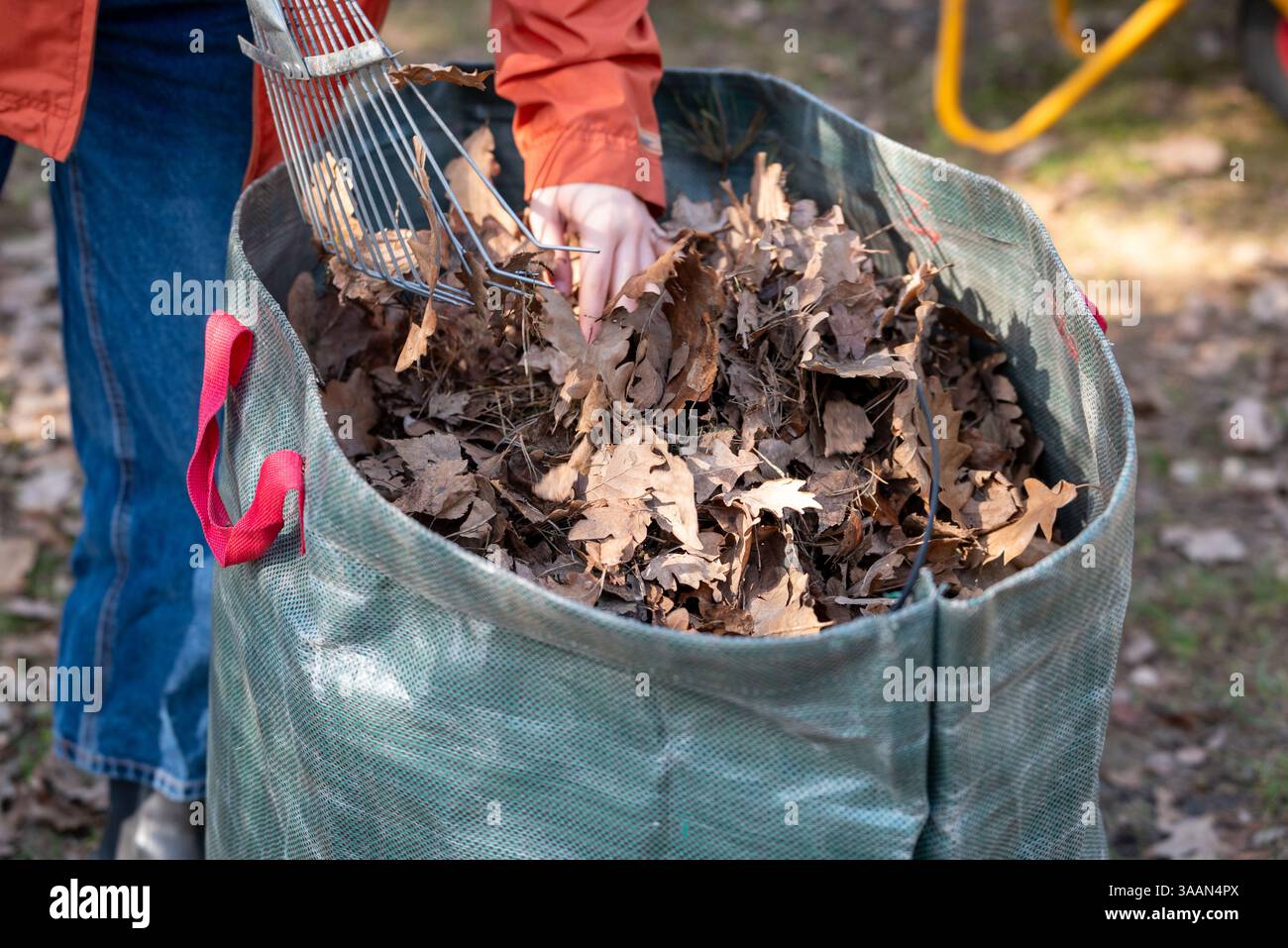 Person removing old rotten hi-res stock photography and images - Alamy