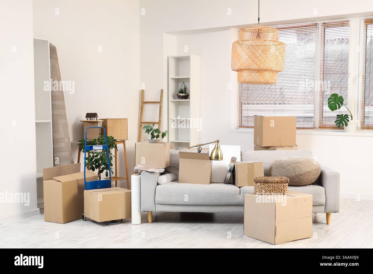 Cardboard boxes with grey sofa and shelving unit in living room on ...