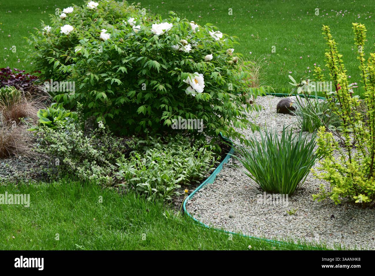 A well-maintained garden featuring lush green grass, a variety of ...