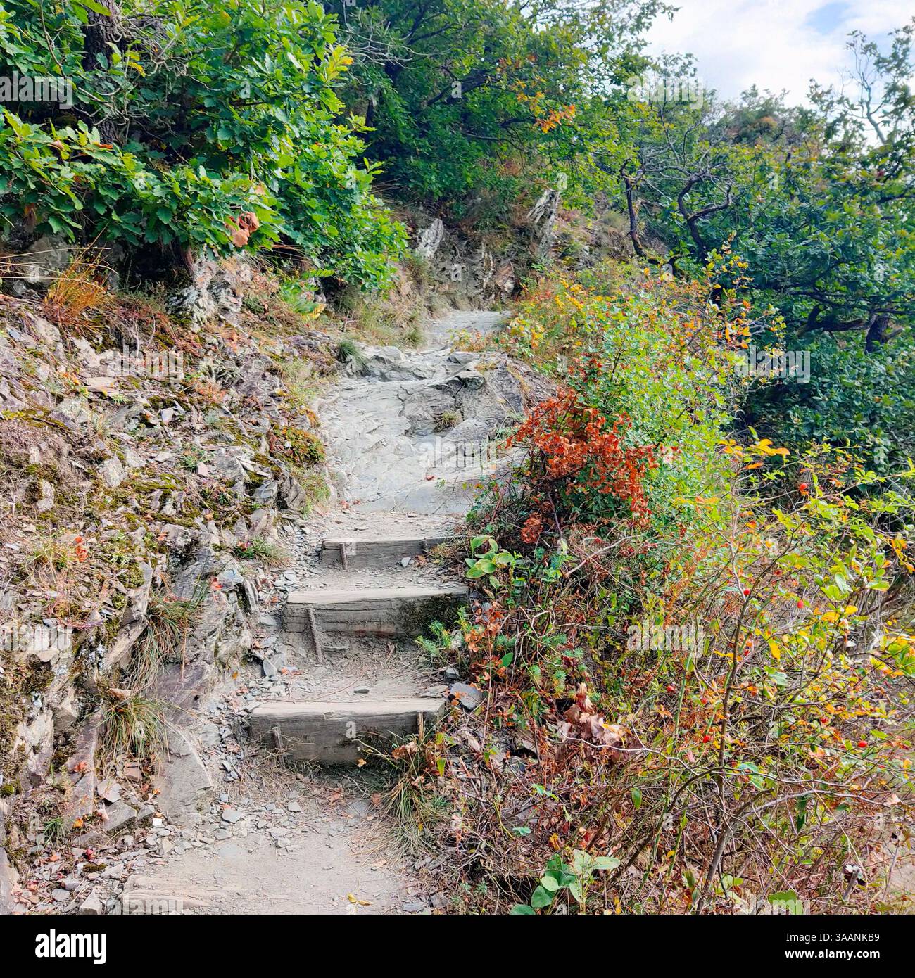 European Athletics Indoor Championships, Apeldoorn 2025 - Large crowds of spectators Stock Photo ...