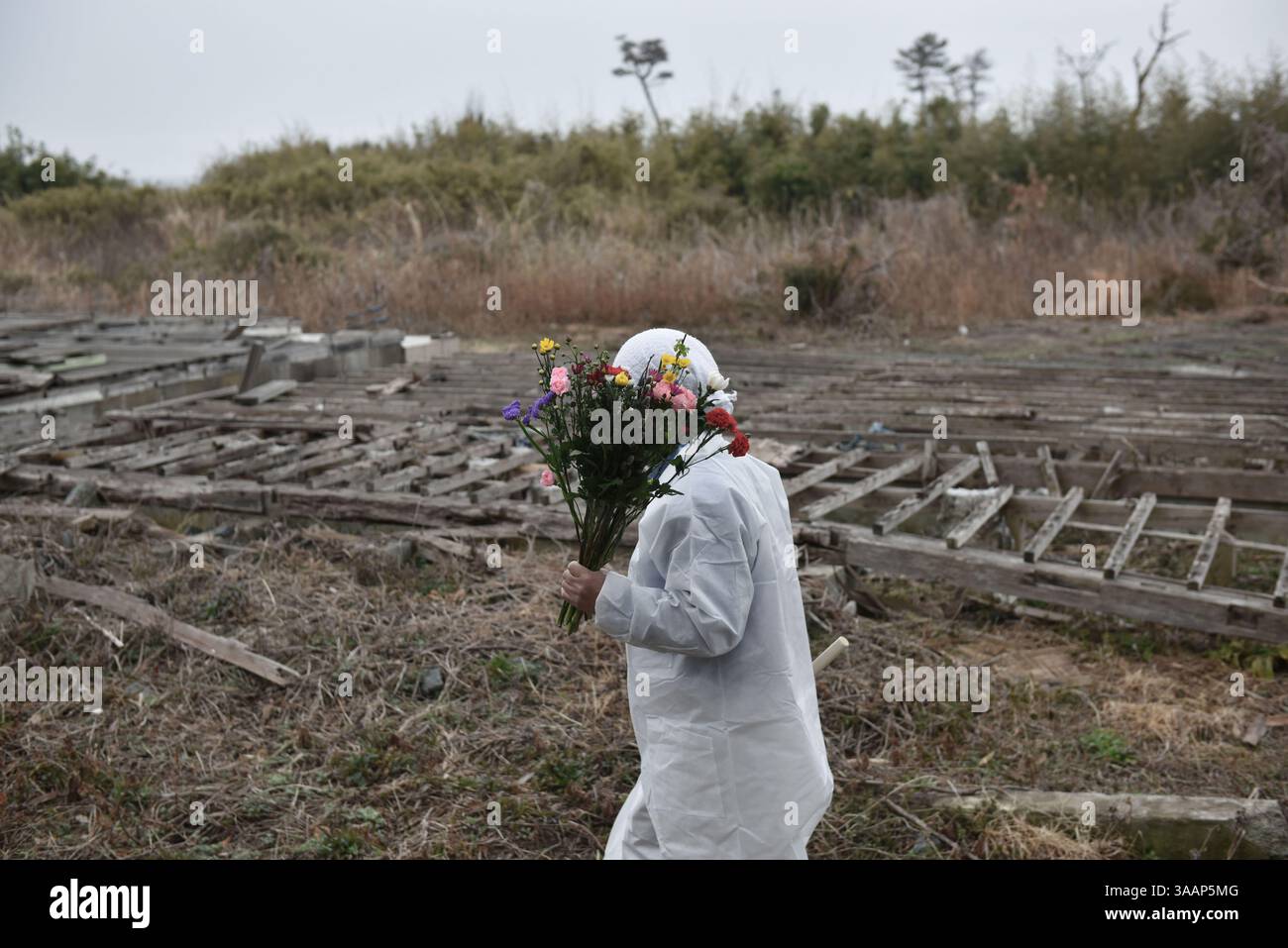 March 19, 2016 - Okuma, Fukushima, Japan - NORIO KIMURA brings flowers to the small stone statue ...