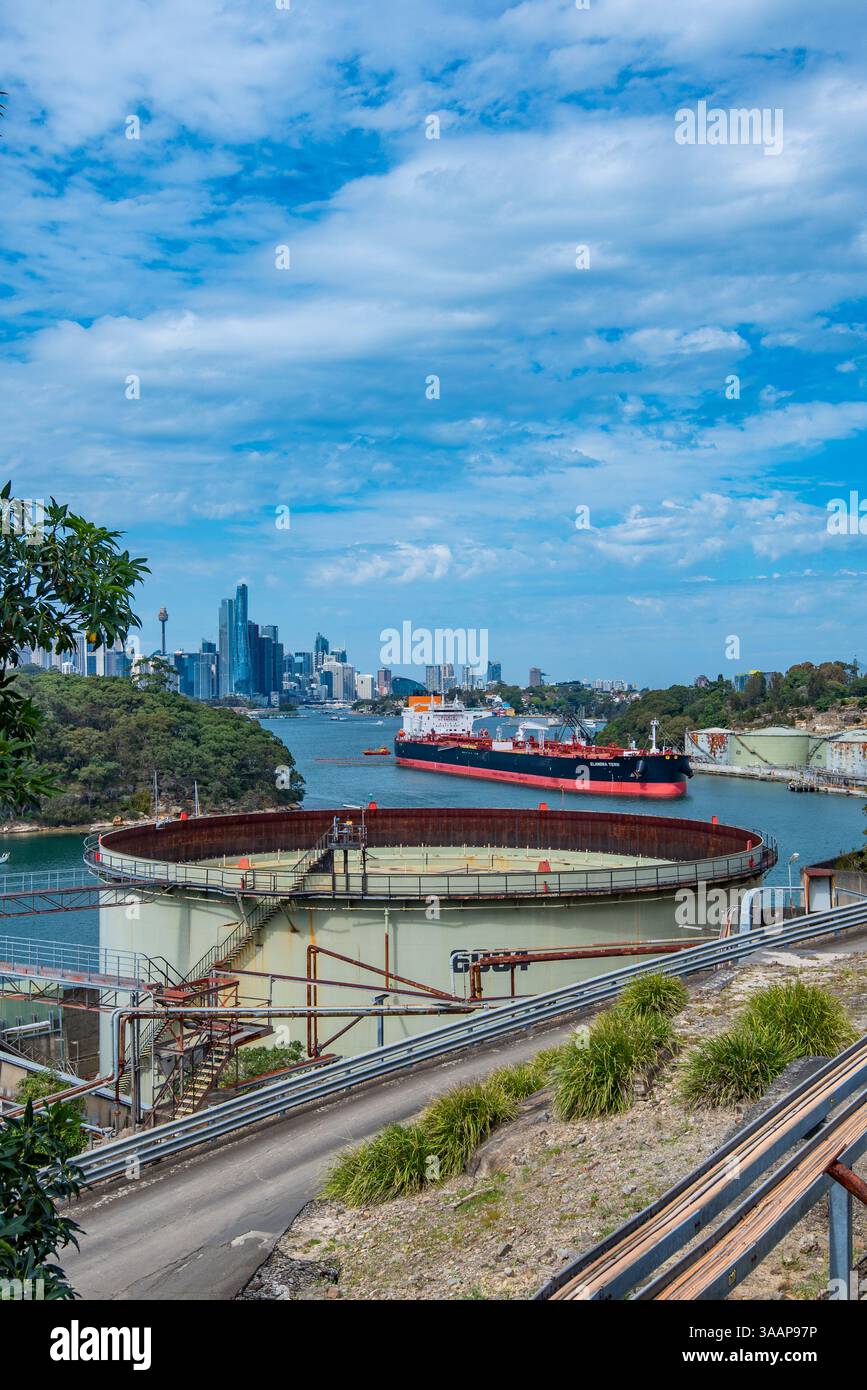 The 110 thousand ton, bulk fuel carrier ELANDRA TERN parked at Viva ...