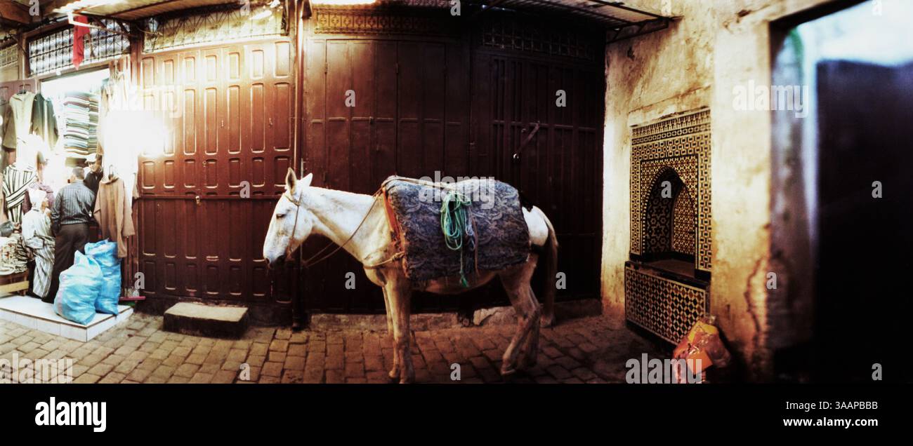 Panoramic view of a donkey inside the medina, Fez, Morocco Stock Photo ...