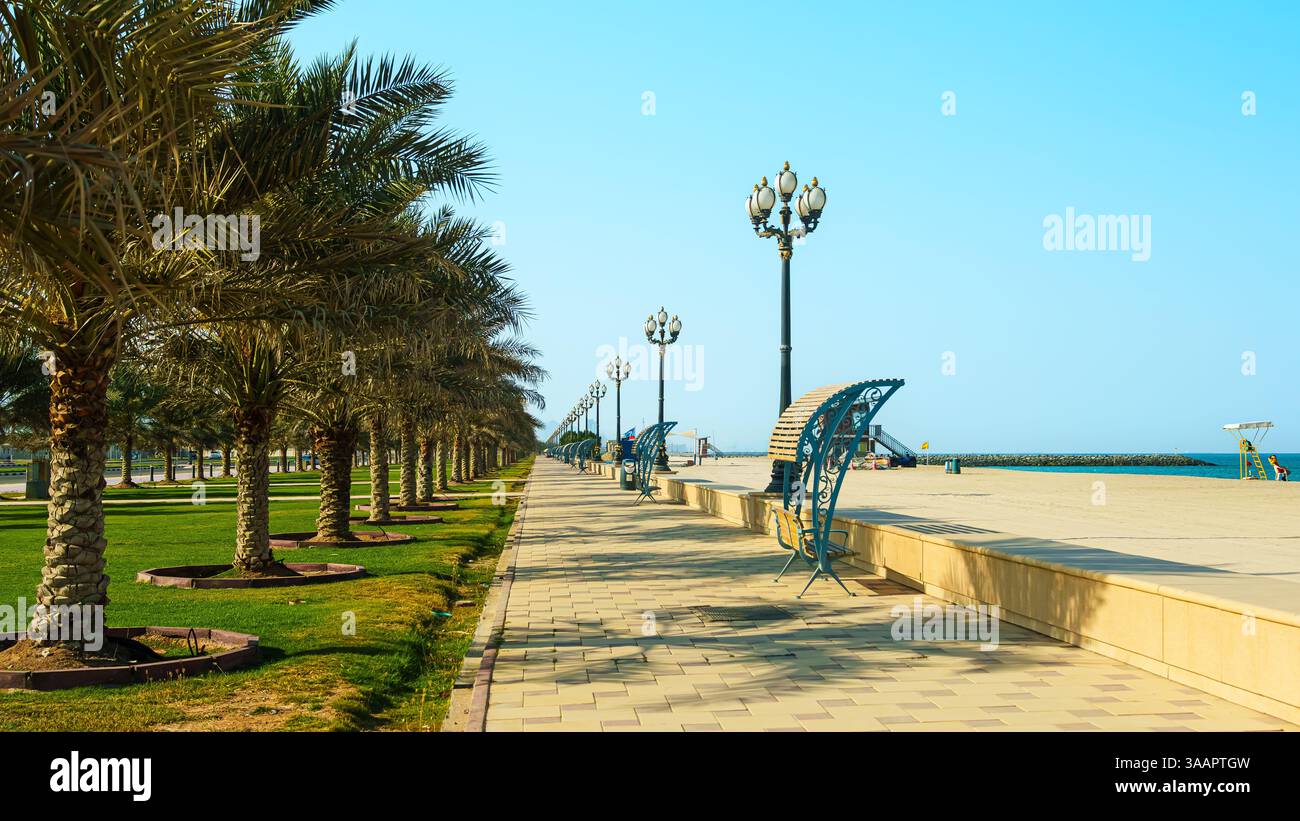 Kalba, UAE- 01042025: Kalba city corniche, mangrove, park. High quality ...
