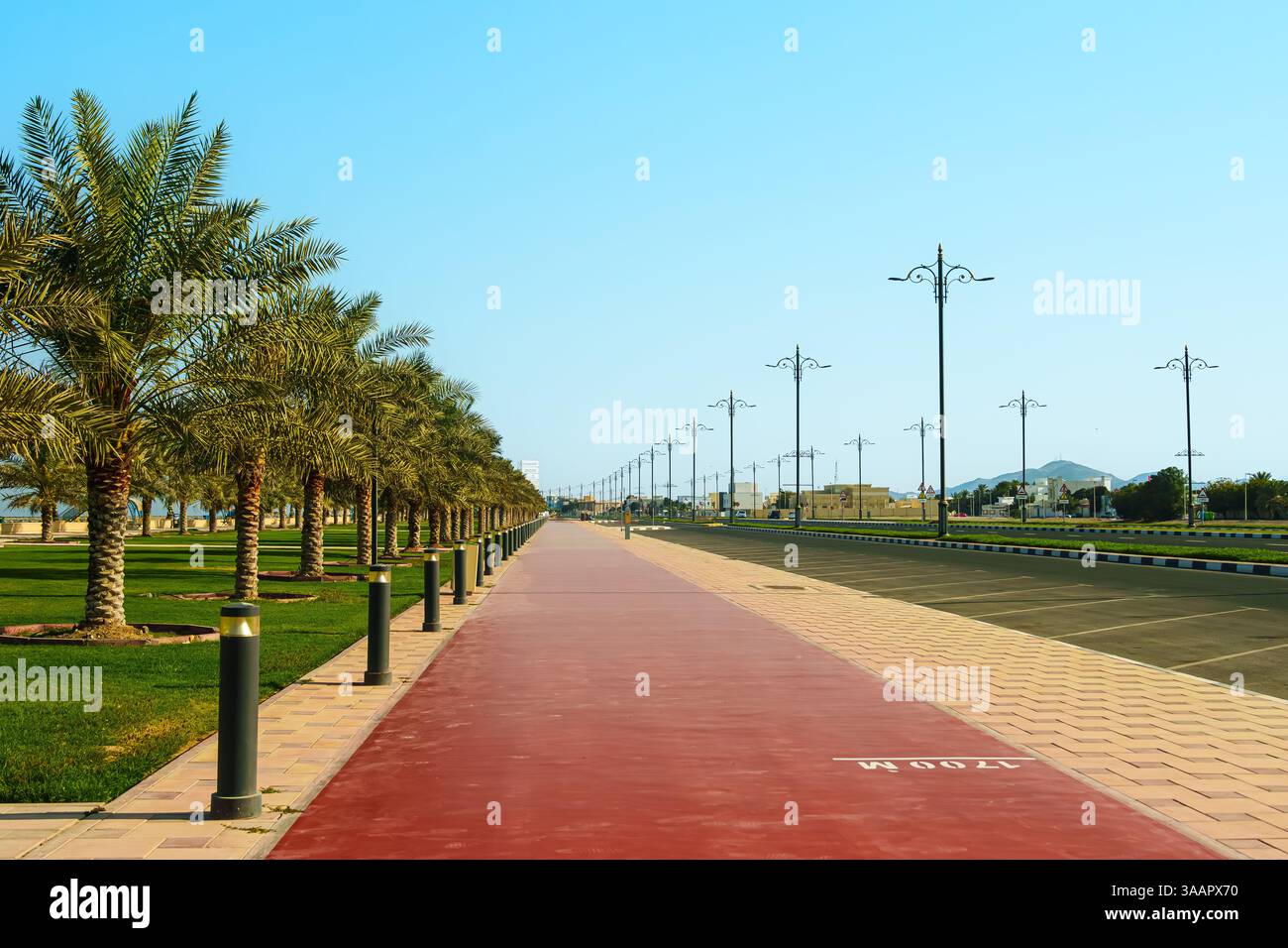 Kalba, UAE- 01042025: Kalba city corniche, mangrove, park. High quality ...