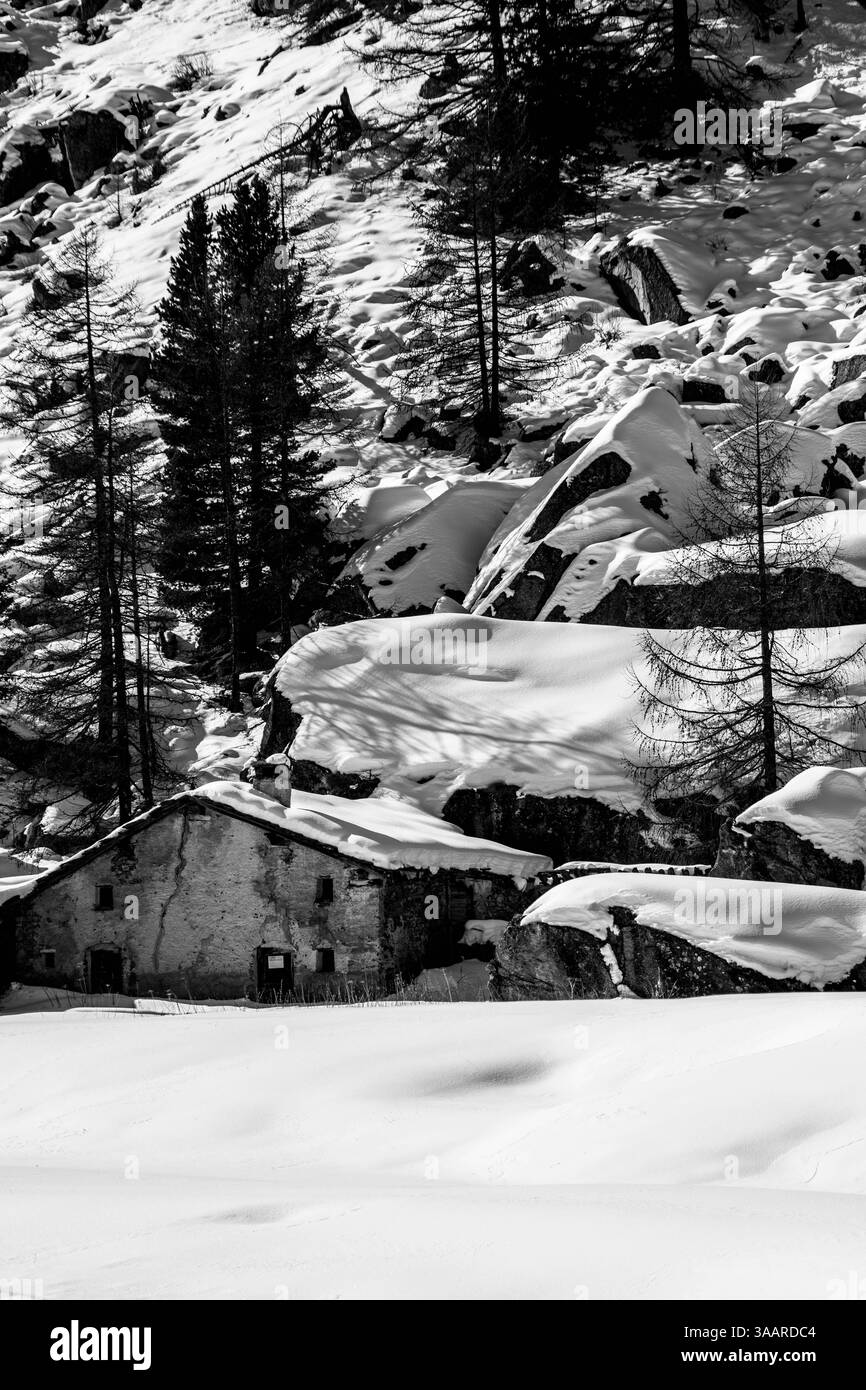 Bnw snow hi-res stock photography and images - Alamy