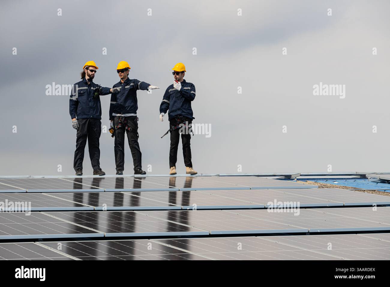 Professional Engineer Service Solar Panel. Worker Maintenance Cleaning ...