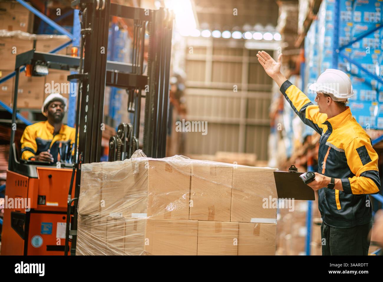 Warehouse worker male working duty stock control with forklift truck ...