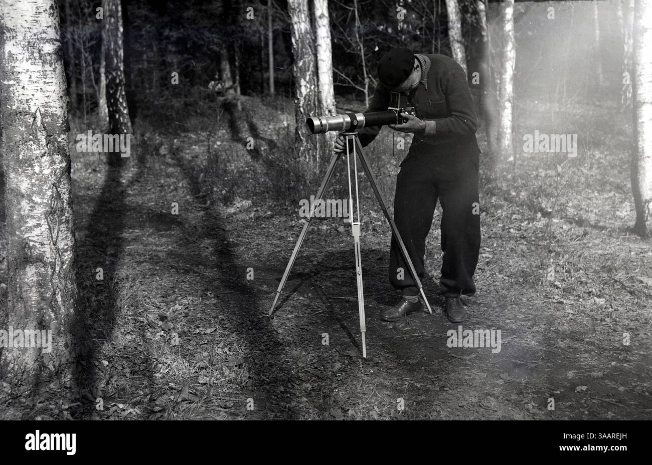 Man Using Tripod-Mounted Camera or Telescope in Forest, 1950s–1960s ...