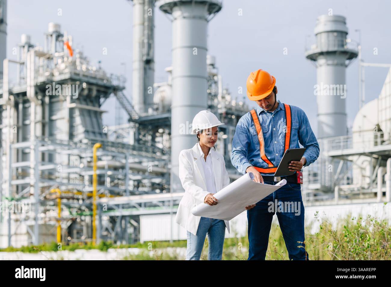 Professional Petroleum Refinery engineer team working building oil and ...