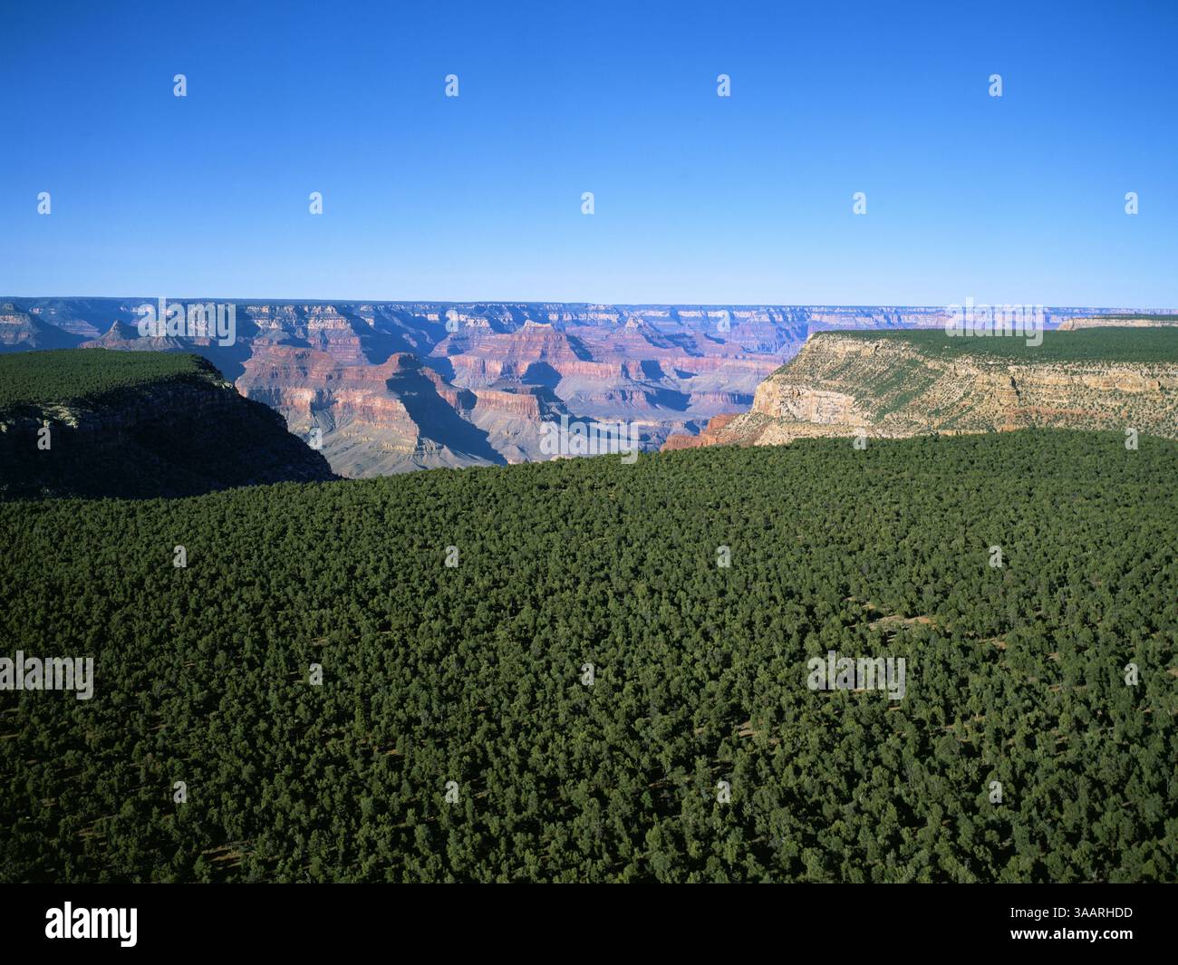 AERIAL VIEW. Grand Canyon viewed from above the Kaibab National Forest, looking north. Tusayan ...