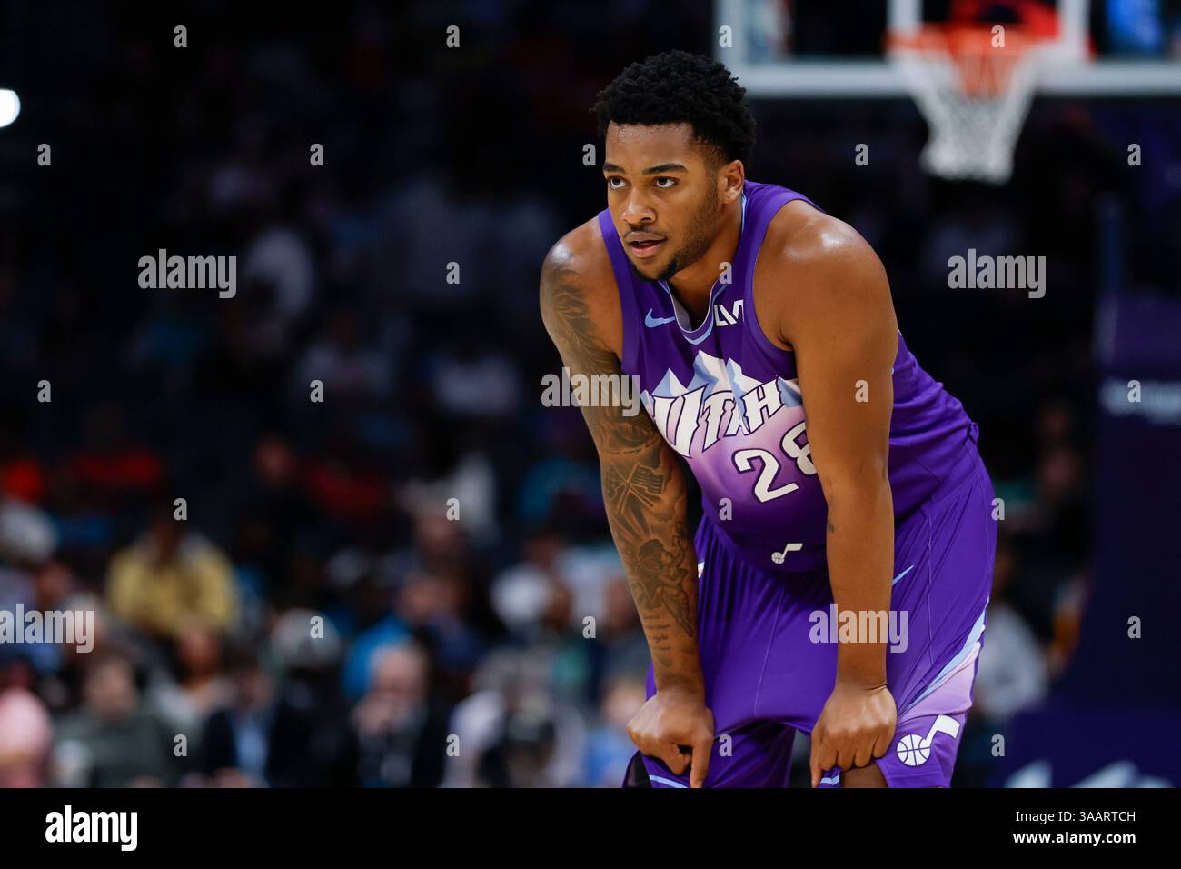 Utah Jazz forward Brice Sensabaugh stands on the court during the ...