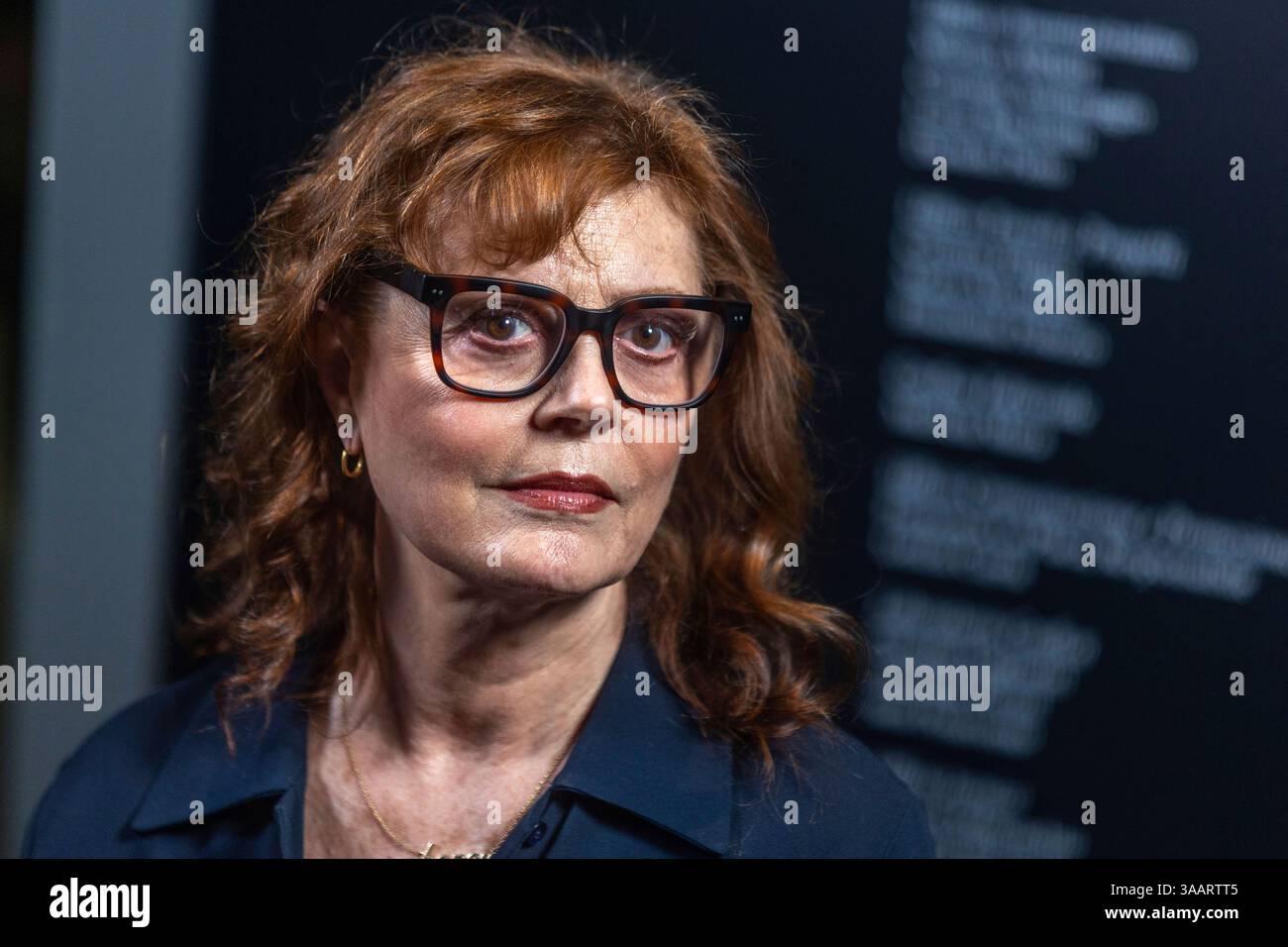 Susan Sarandon attends the presentation of Fabrizio Ferri's ...