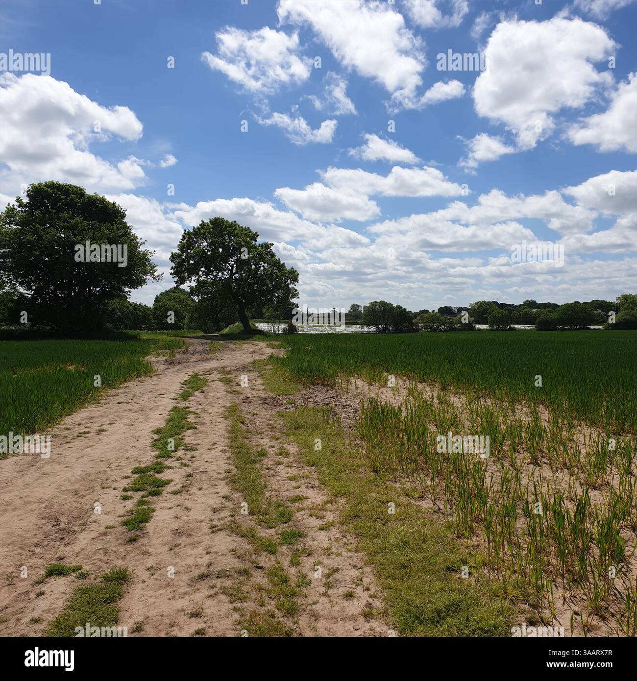 Lush green fields and a path in Coppull, Lancashire, UK Stock Photo - Alamy