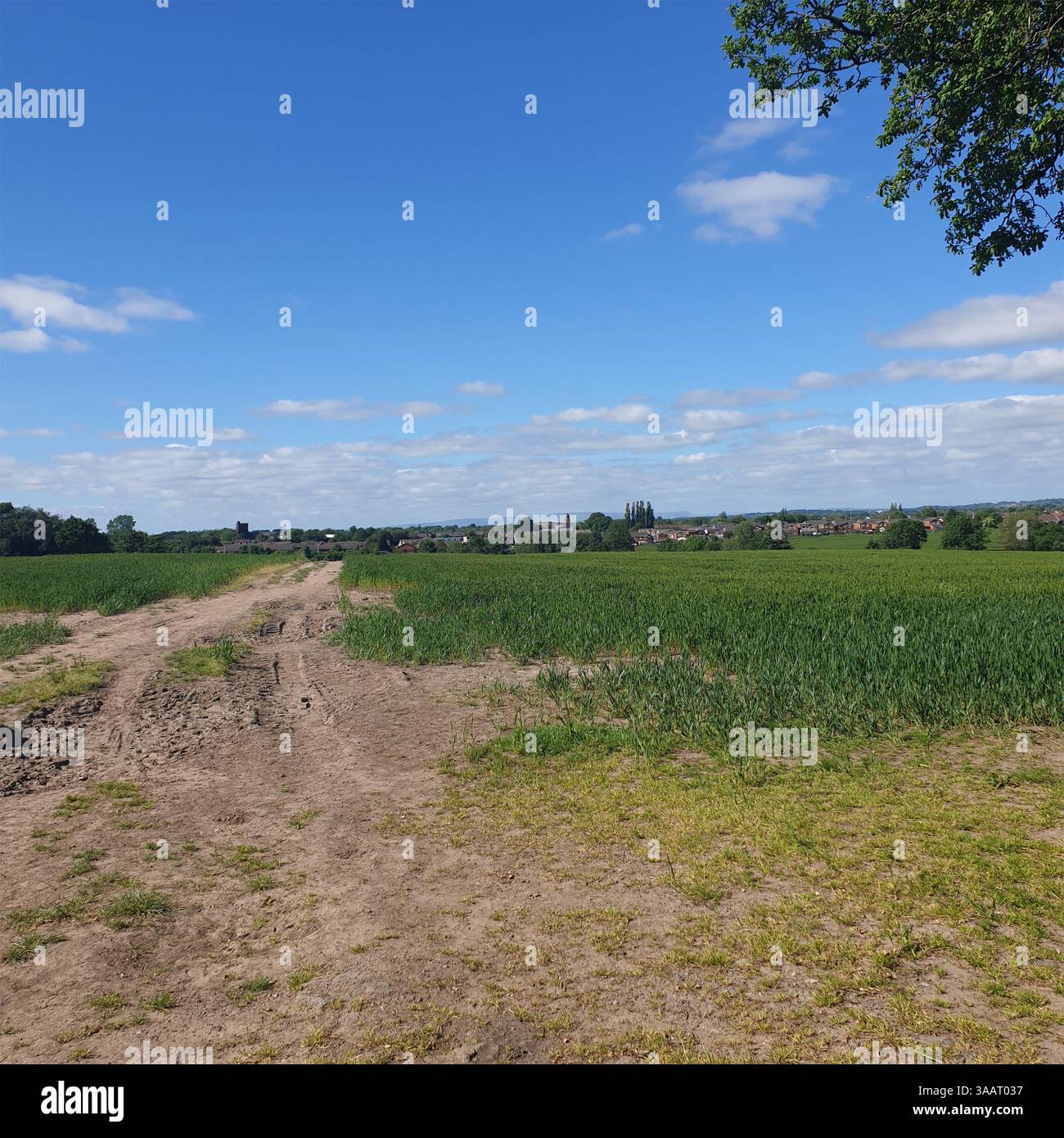 Lush green fields and a path in Coppull, Lancashire, UK Stock Photo - Alamy