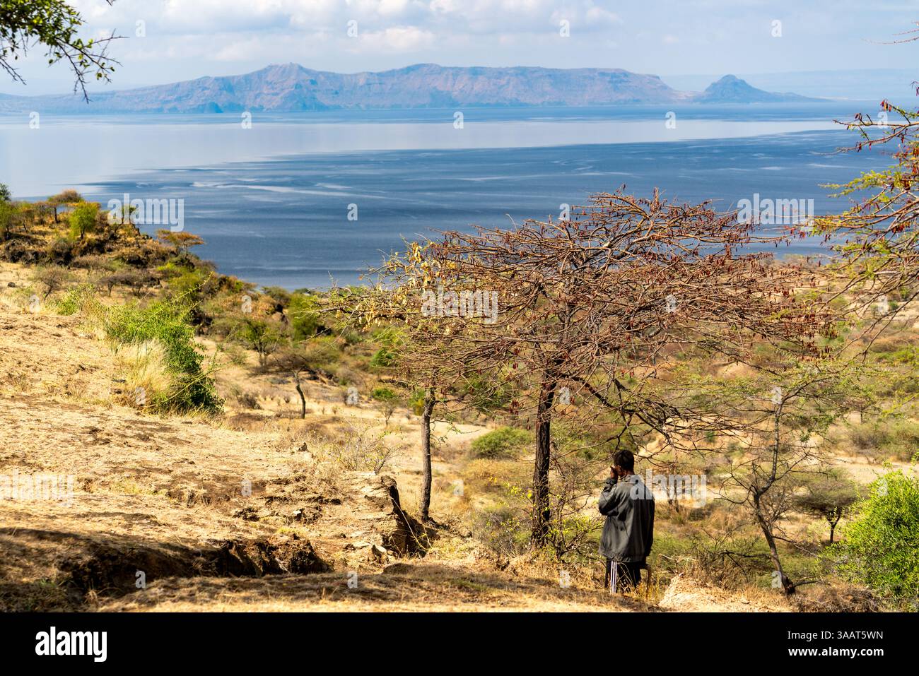 Ethiopia, Acacia trees in the dry savannah grasslands of the Abijatta ...