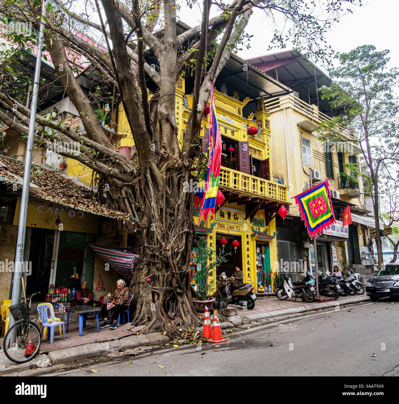 Hanoi street with Banyan Tree and temple, Vietnam Stock Photo - Alamy