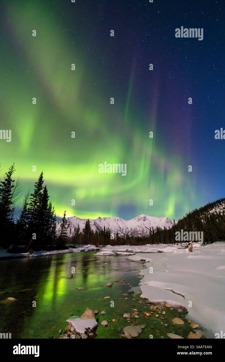 Aurora Borealis, Annie Lake Road, Yukon, Canada Stock Photo - Alamy