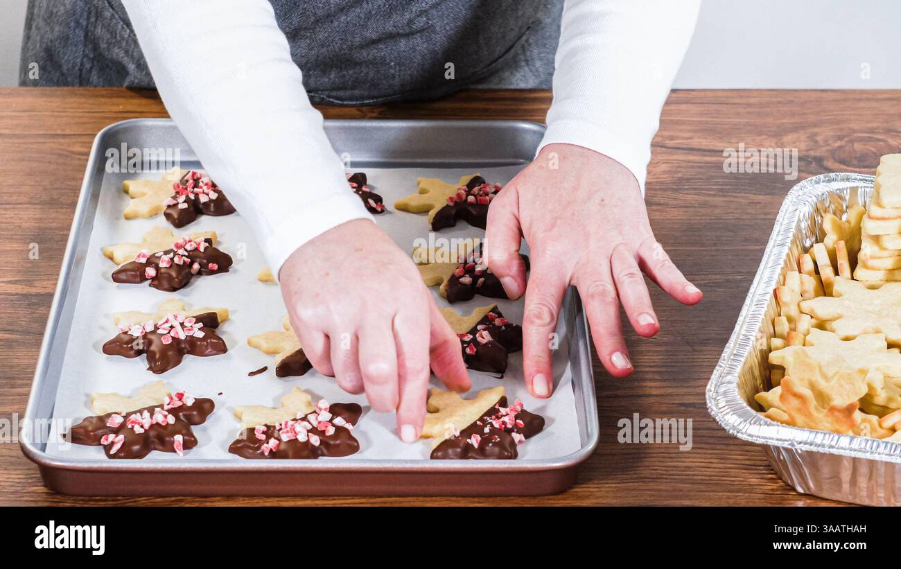 Festive Cookie Packaging with Chocolate-Dipped Christmas Delights Stock ...