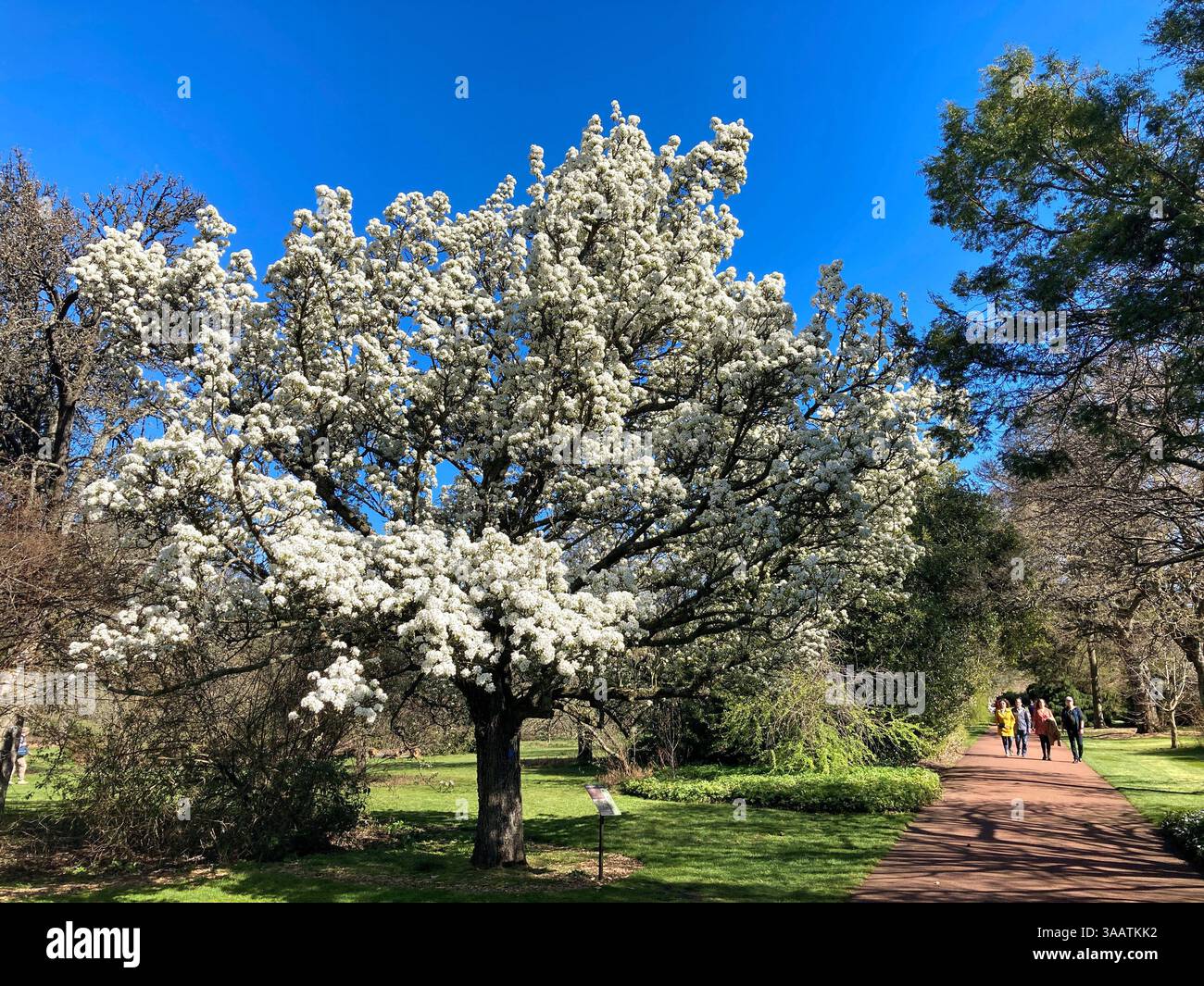 Edinburgh, Scotland, UK. 1st Apr 2025. Warm Springtime sunshine and 16C ...