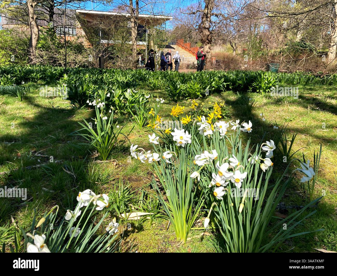 Edinburgh, Scotland, UK. 1st Apr 2025. Warm Springtime sunshine and 16C ...