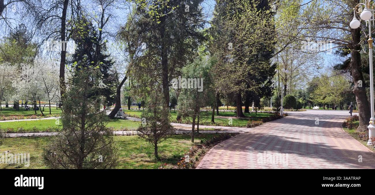 Dushanbe city view hi-res stock photography and images - Alamy