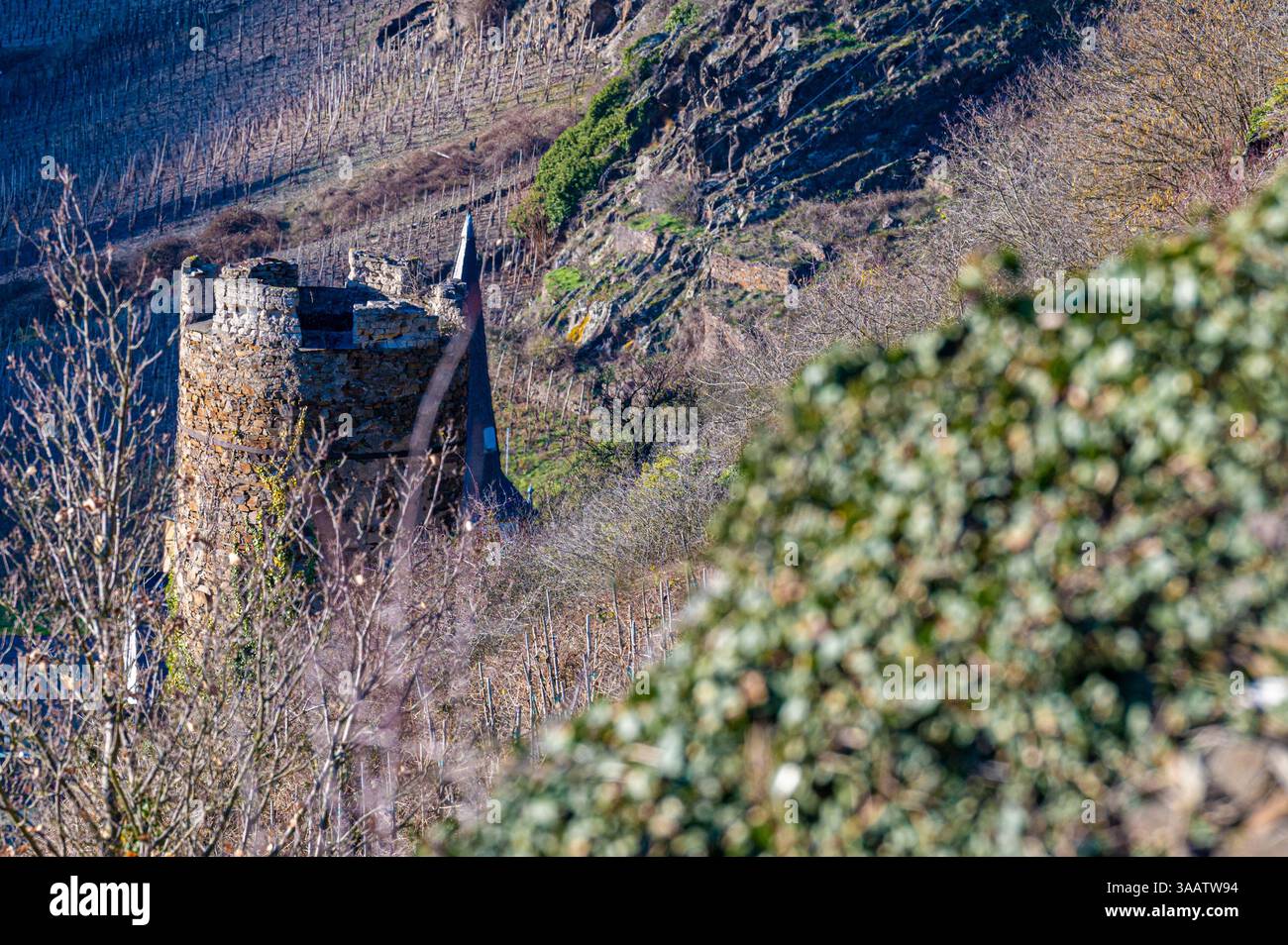witches tower in the vineyard in Alken Germany Stock Photo - Alamy