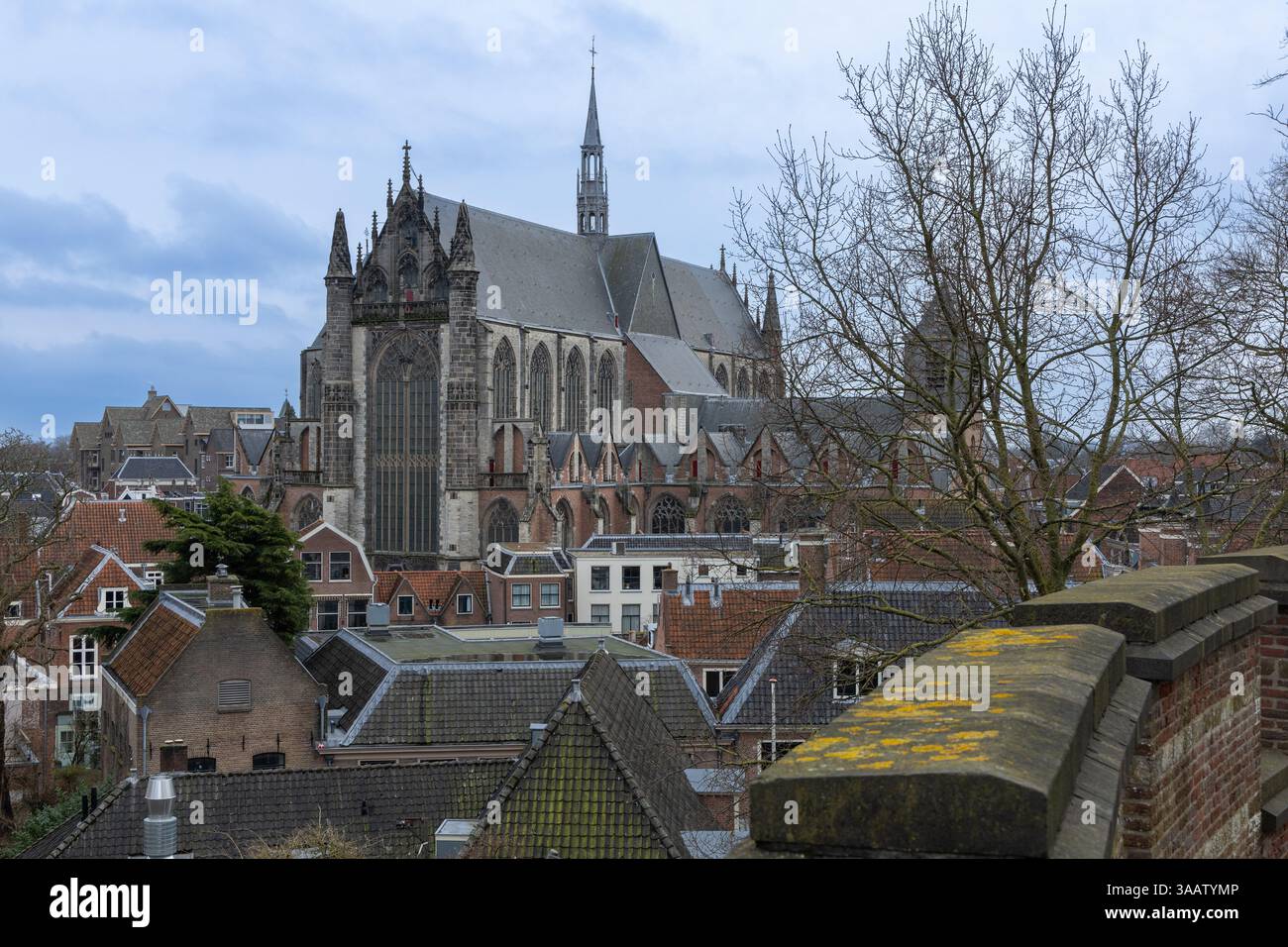Pieterskerk a Church in Leiden and rooftops of historic buildings seen ...