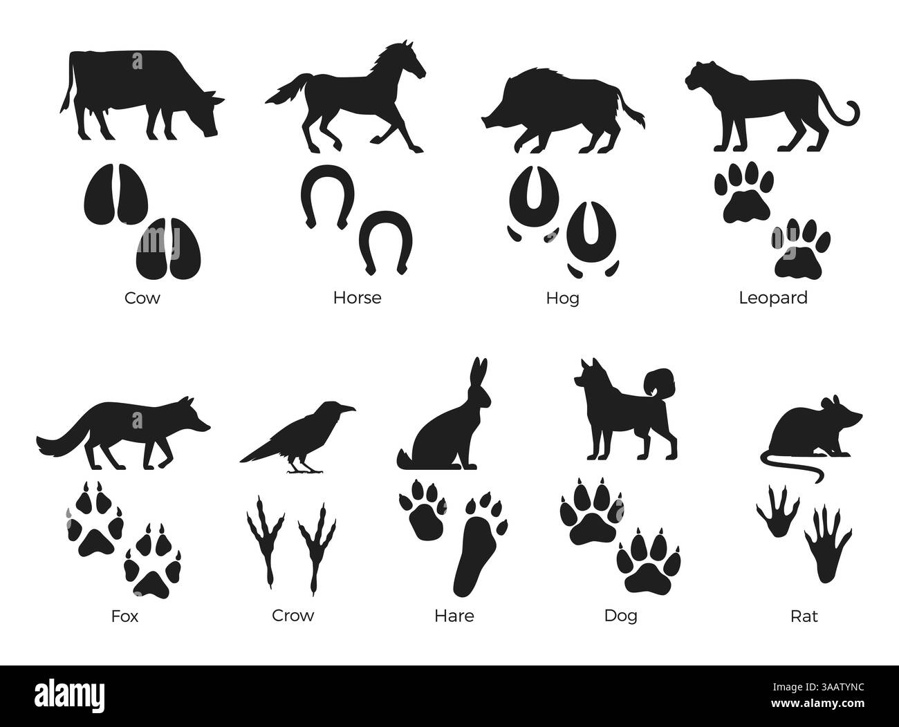 Animals silhouettes with footprint. Mammals, rodents, birds black paws ...