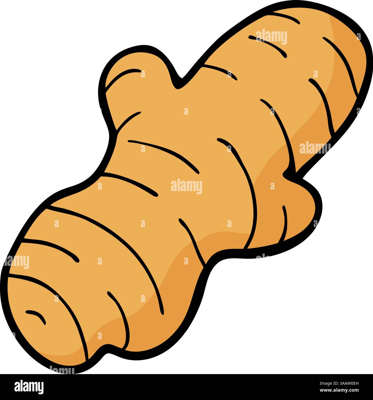 Cartoon ginger root illustration in flat style Stock Vector Image & Art ...