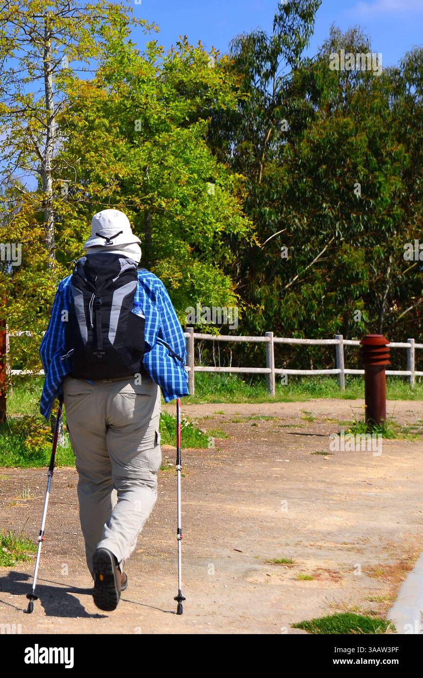 Lone pilgrim on the Camino de Santiago Stock Photo - Alamy