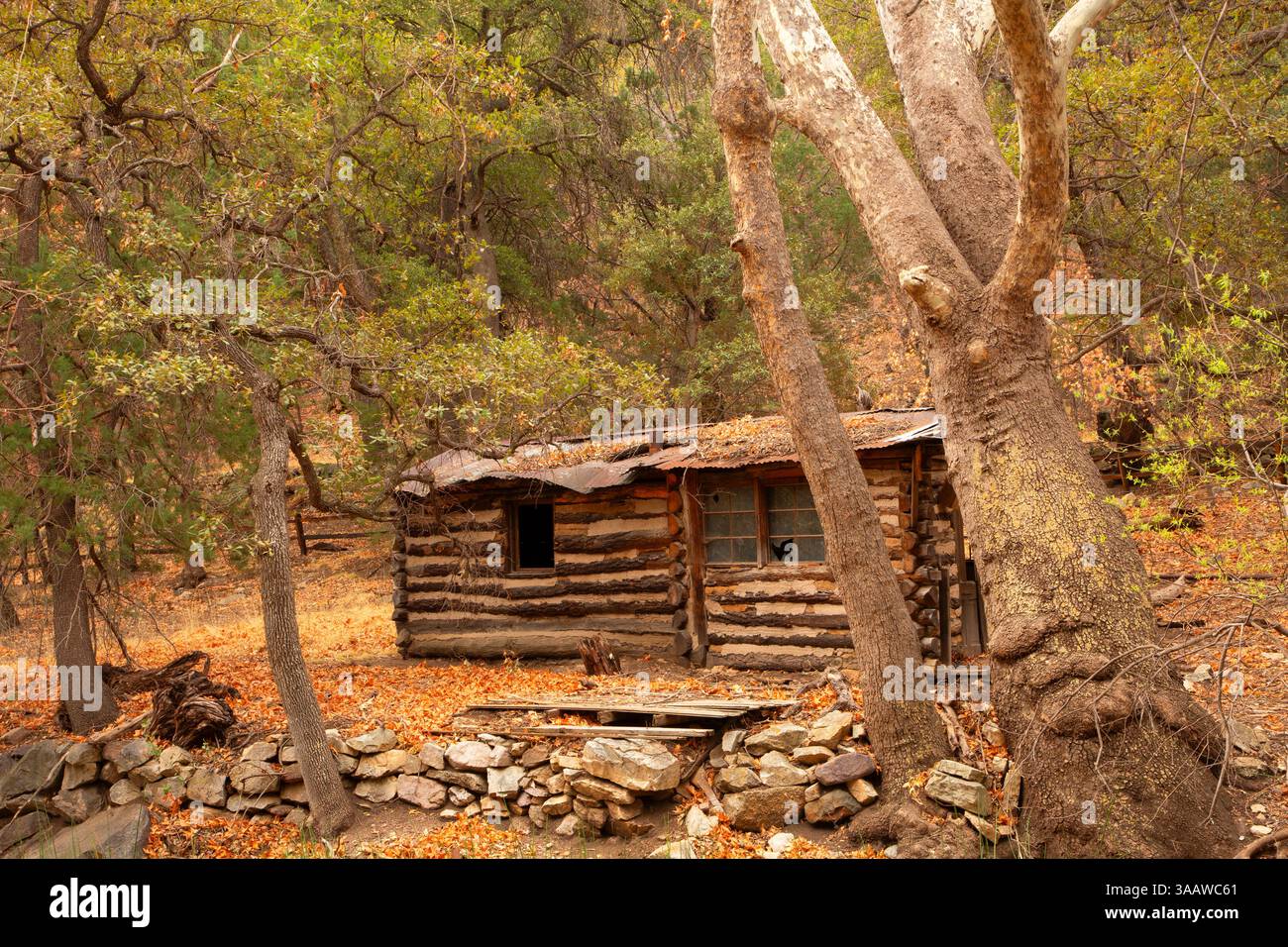Cabin along Ramsey Canyon Trail, Ramsey Canyon Preserve, Arizona Stock ...