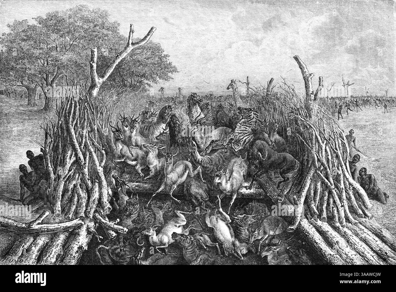 Stakewalls hi-res stock photography and images - Alamy