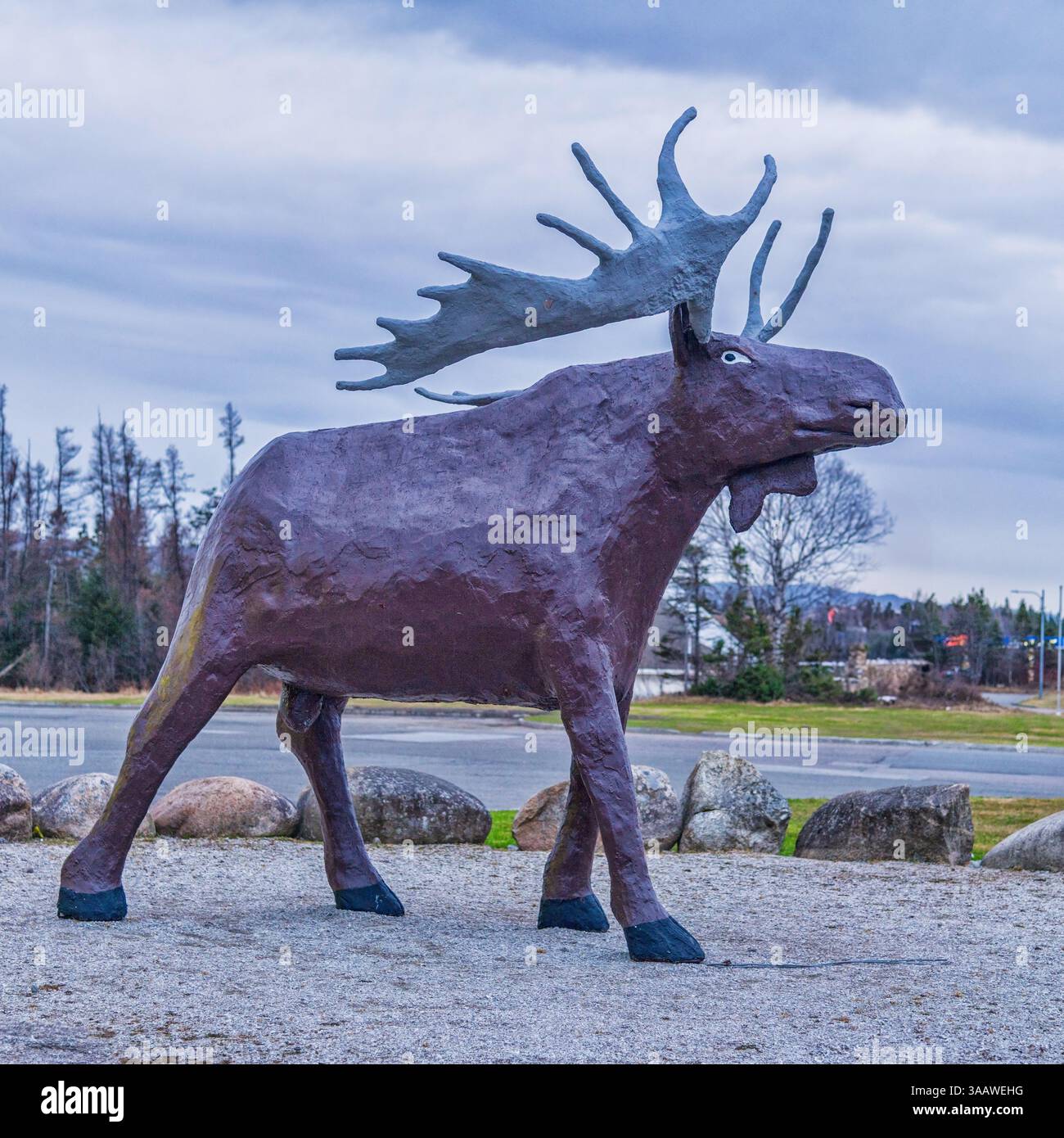 Newfoundland highway scenery hi-res stock photography and images - Alamy