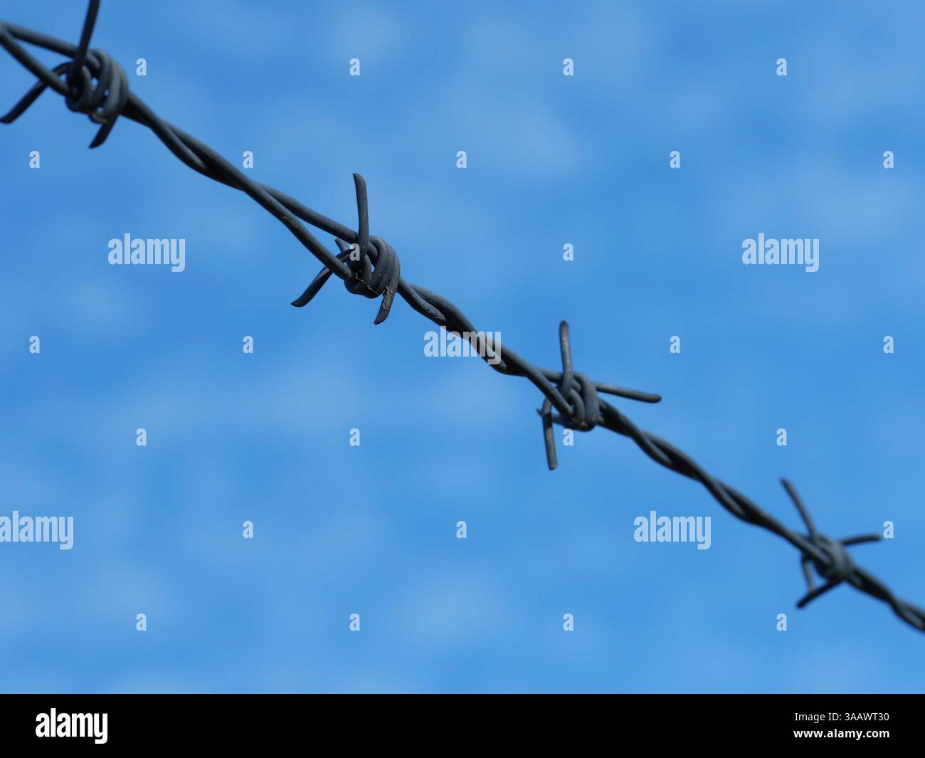 Galvanized barbed wire with four points per knot, preventing ...