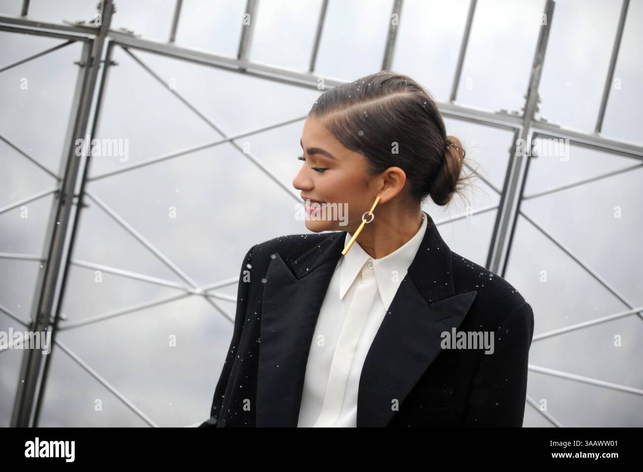 NEW YORK, NY - DECEMBER 09: Zendaya attends the cast of 'The Greatest ...