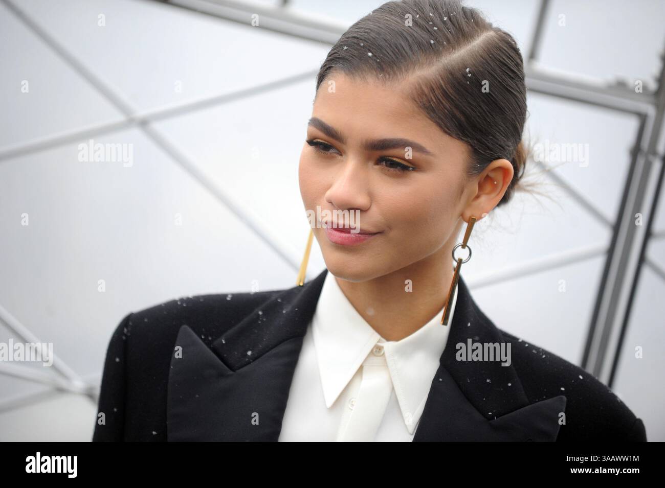 NEW YORK, NY - DECEMBER 09: Zendaya attends the cast of 'The Greatest ...